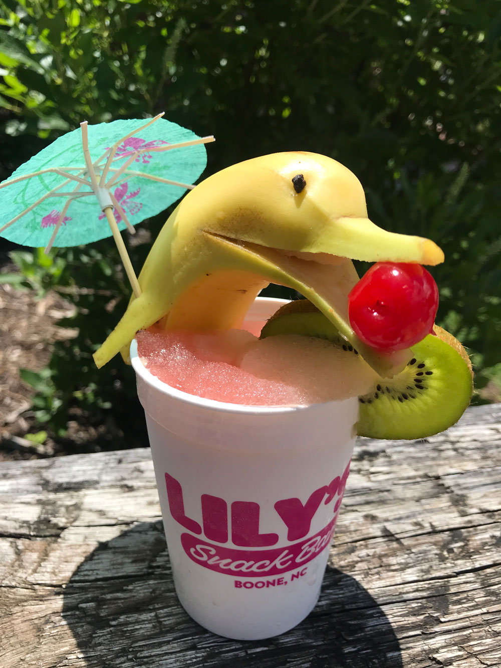 Lily's Snack Bar | Boone, NC